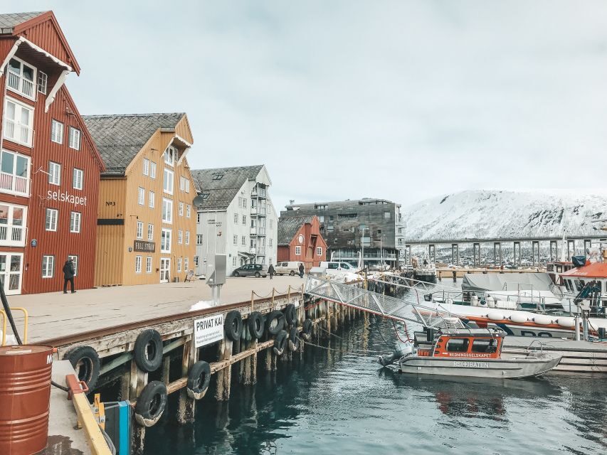 Tromsø: Private City Tour - Final Thoughts: Is This Tour Worth It?