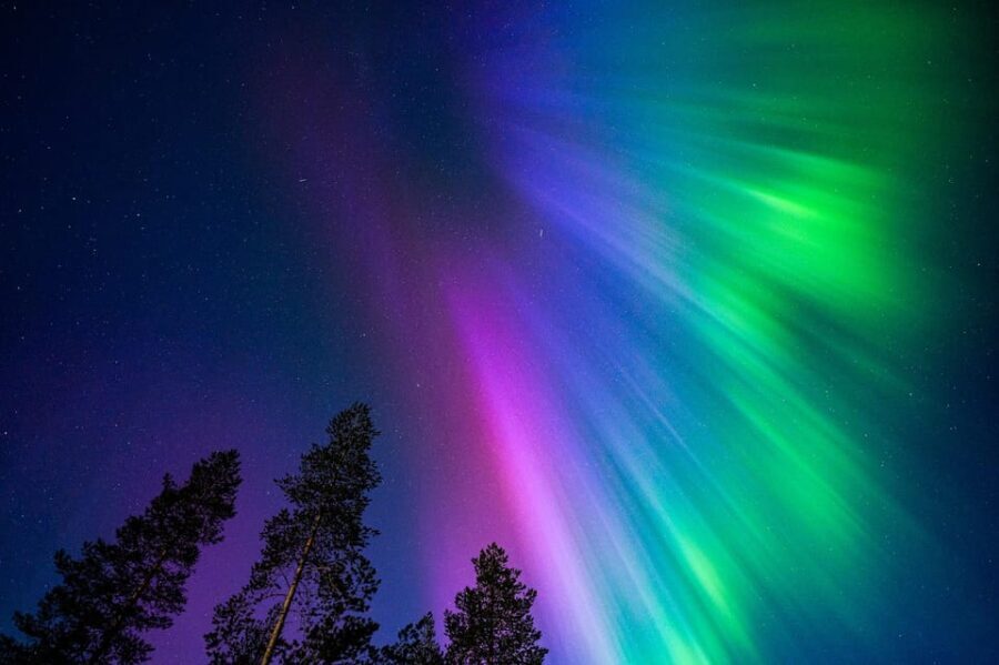 Tromsø: Private Tour with Guaranteed Northern Lights Viewing - Who Should Consider This Tour?