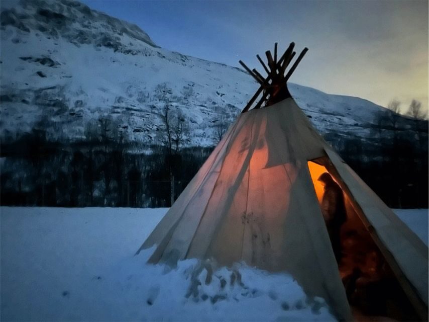Tromsø: Reindeer Experience at a Sami Camp - Analyzing the Value
