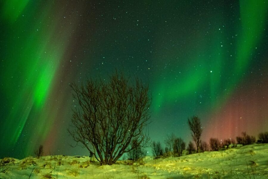 Tromsø: Small-Group Adventurous Northern Lights Hunt - A Typical Night on the Hunt