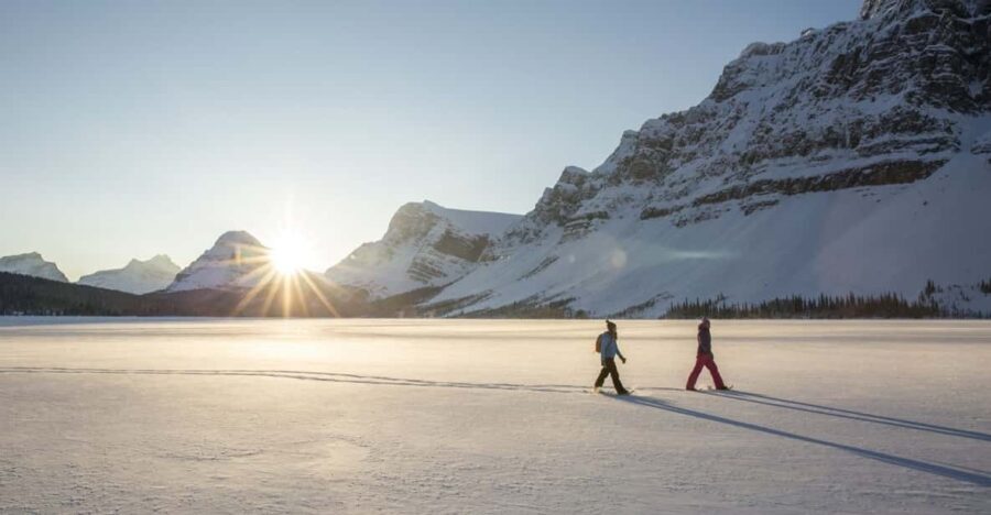Tromsø: Snowshoeing in Scenic Landscape - What the Tour Entails: A Step-by-Step Breakdown