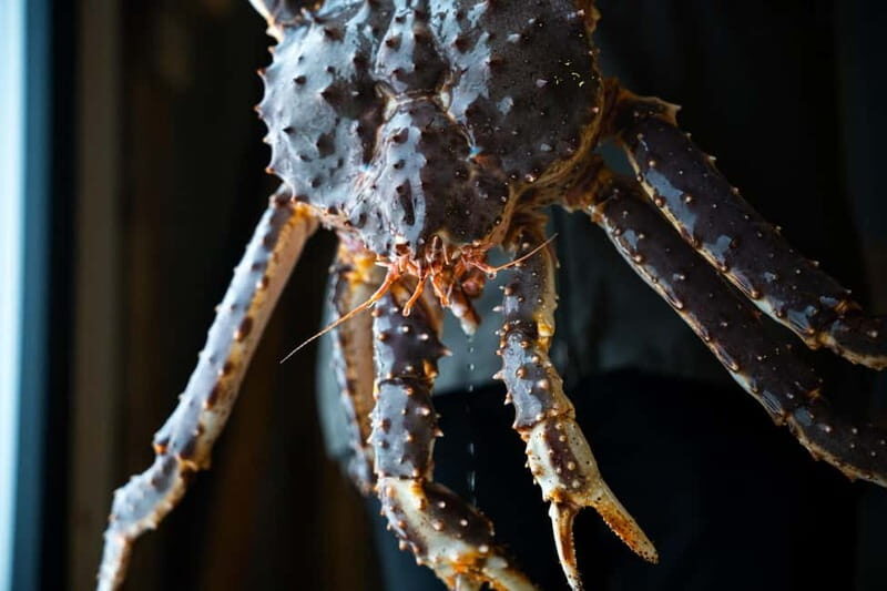 Tromsø: Tasty King Crab Adventure - The Scenic Drive and Views
