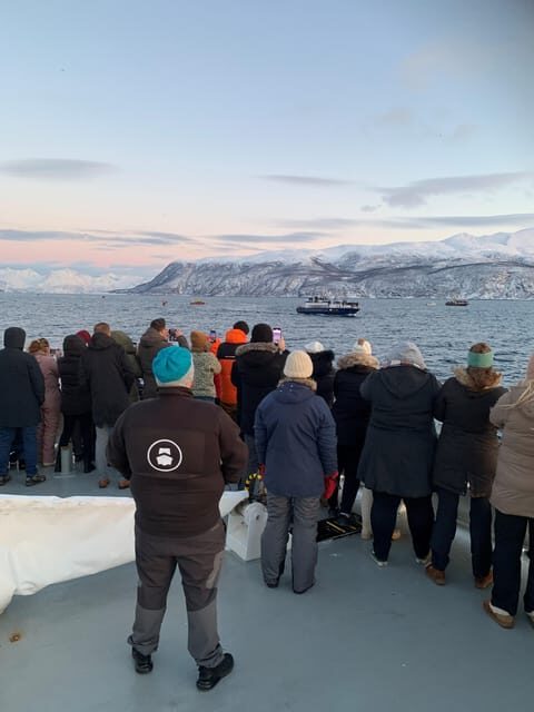 Tromsø Whale Safari with MS Keiser Wilhelm - Who Should Book This Tour?