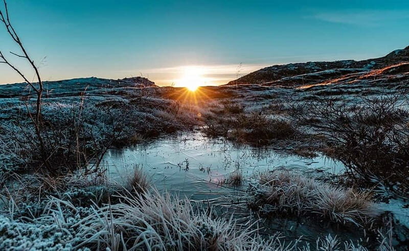 Tromsø: Winter Fjord Road Trip with Citizen Science - The Itinerary in Detail