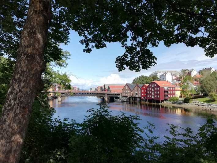 Trondheim : Explore the city of kings with a local guide - Why This Tour Offers Great Value