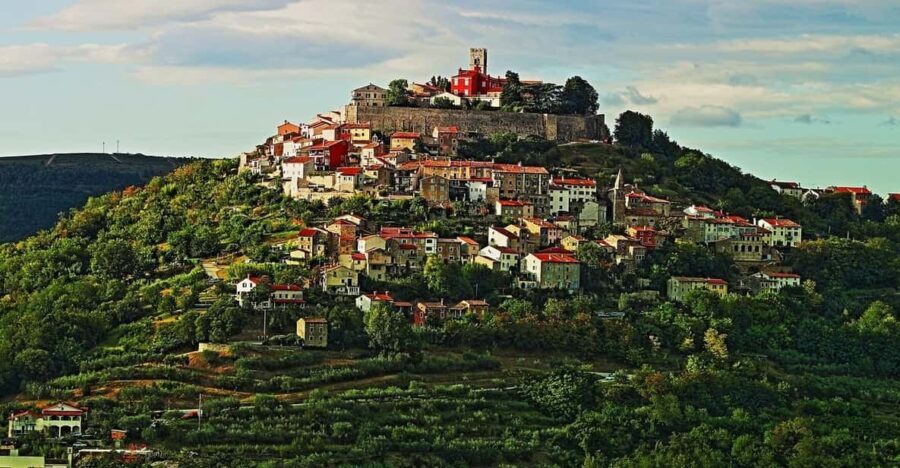 Truffle hunting in Istria private experience - Why Choose This Tour?
