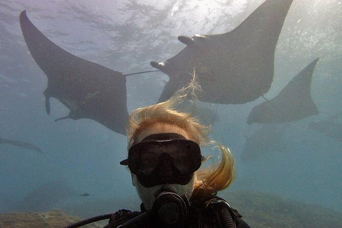 Try Dive with Manta Rays in Bali - The Sum Up: Is it Worth It?