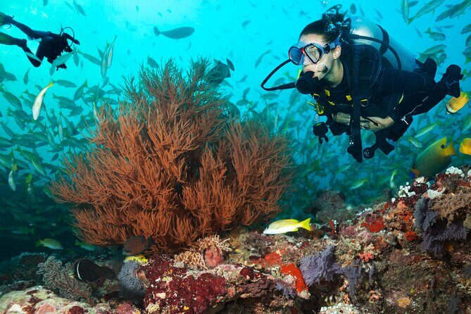 Try Scuba Diving in Kauai From a Boat for Non-Certified Divers - Authentic Insights from Past Participants