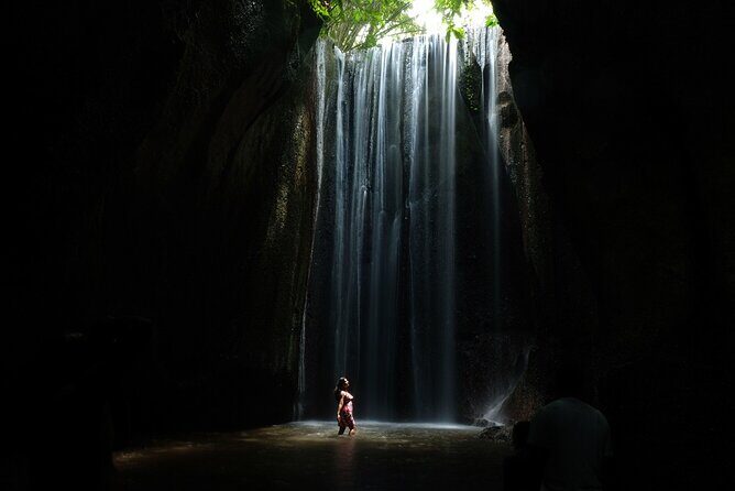 Tukad Cepung Waterfall, Bali Swing & Traditional Village Day Tour - Practical Details and What to Expect