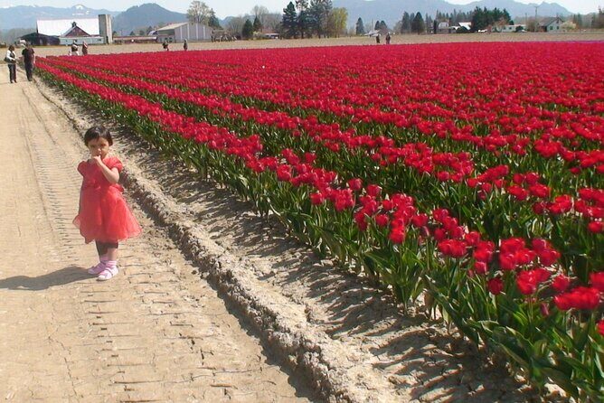 TULIP Festival @ Skagit Valley, La Conner & Deception Pass in SUV - An In-Depth Look at the Tour Experience