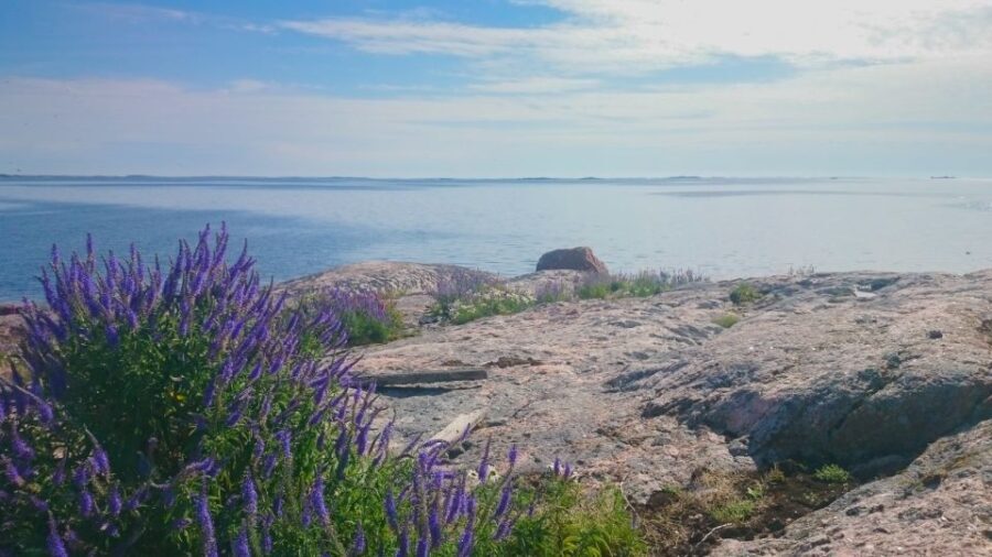 Turku Archipelago: Sea Kayaking Day Tour - The Details: Making the Most of Your Day