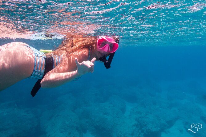 Turtle Gardens West Maui Snorkel Tour - A Deep Dive into the Itinerary and Experience
