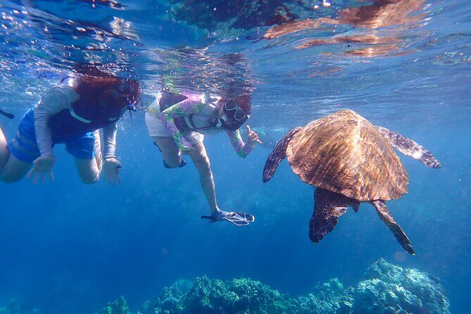 Turtle Town Beach Snorkel - Why This Snorkel Tour Stands Out