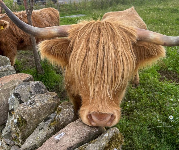 Two Day Taster Tour of Skye and the Highlands - Practical Details and Value