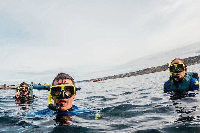 Two Hour Kayak and Snorkel Tour for Two in La Jolla - The Value of the Tour: Price and What You Get