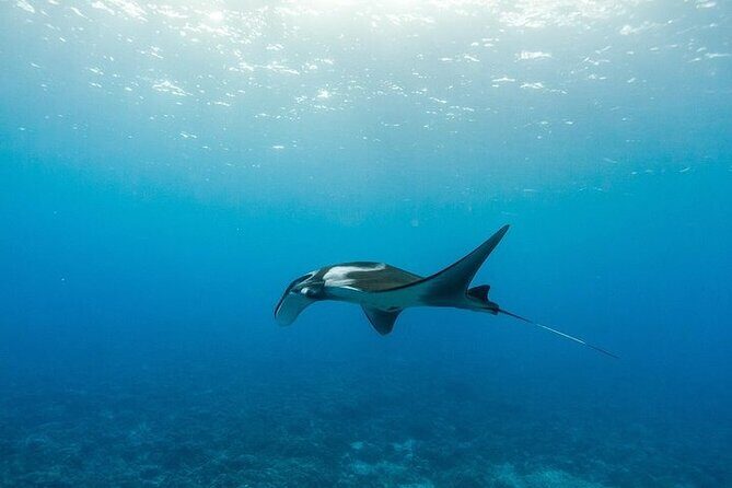 Two Stop Snorkel Adventure from Maui - Final Thoughts on Value and Suitability