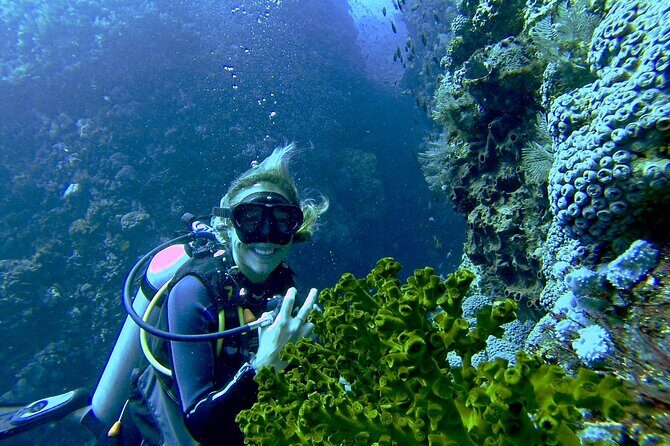 Two Tank Morning Scuba Dive - Who Will Love This Tour?