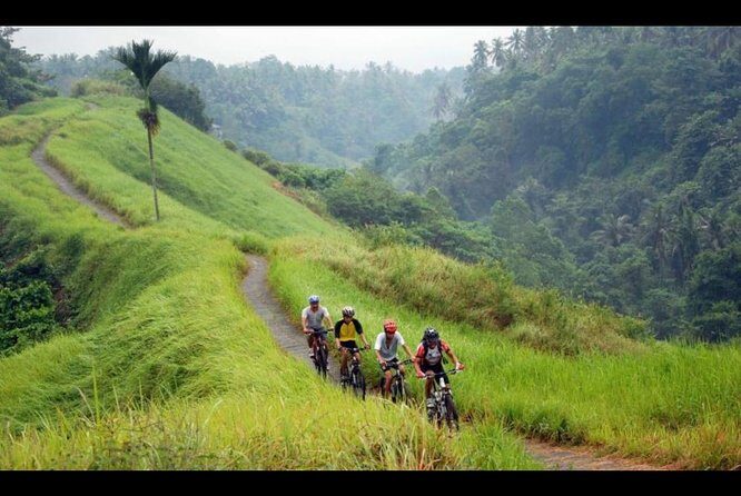 Ubud Bliss: Village Cycling and Jungle Swing Adventure - Practical Tips for Your Day Out