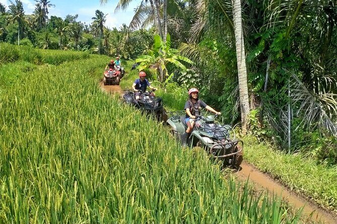 Ubud Quad Bike ATV Adventure in Bali - Who Should Consider This Tour?
