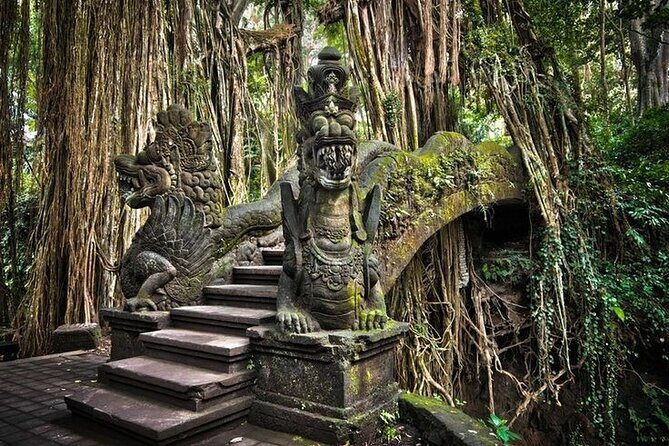 Ubud Tour (Monkey Forest, Tirta Empul Temple, Waterfall, Rice Terrace and Swing) - In Summary