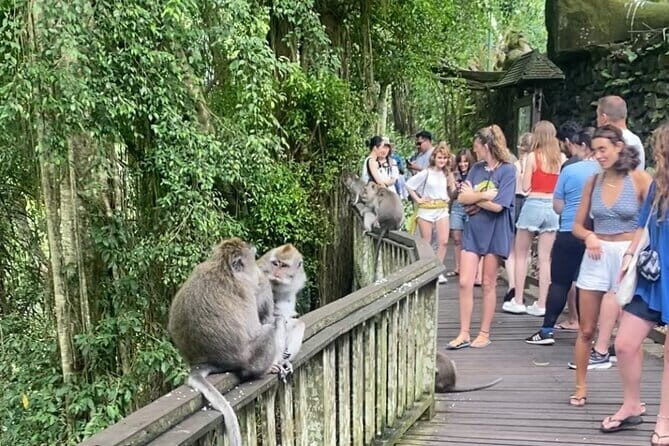 Ubud Tour - Ubud Highlight Culture, Tradition, Nature - The Sum Up