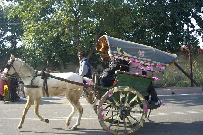 Udaipur - Guided walking tour with Famous Tonga Ride - A Close Look at the Tour Itinerary and Highlights