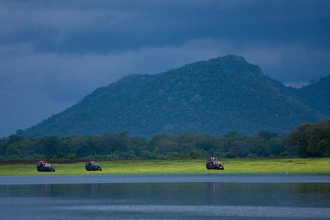 Udawalawe National Park Safari from Hikkaduwa - The Itinerary: What to Expect During Your Day