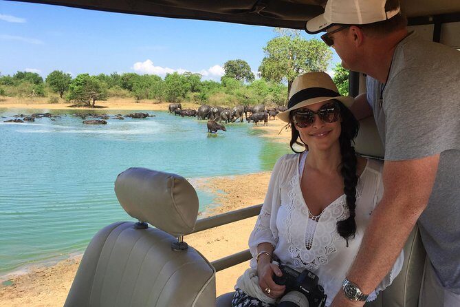 Udawalawe National park with Elephant Transit Home From Colombo - What’s the Experience Like?