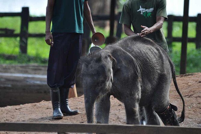 Udawalawe Safari & Elephant Transit Home Visit with Lunch from Hambantota Harbor - What Makes This Tour Valuable?