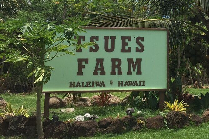 Ultimate North Shore Adventure: Full-Day Hawaiian Experience - Overall impressions