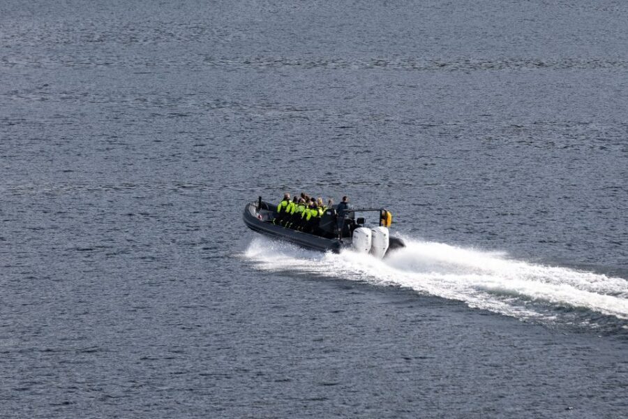 Ulvik: Hardangerfjord Ultimate RIB Safari - What’s Included and What You Should Bring