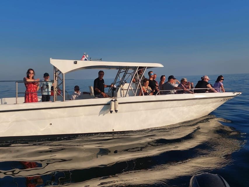 Umag: Dolphinwatching & sunset panorama tour - Who Will Love This Tour?