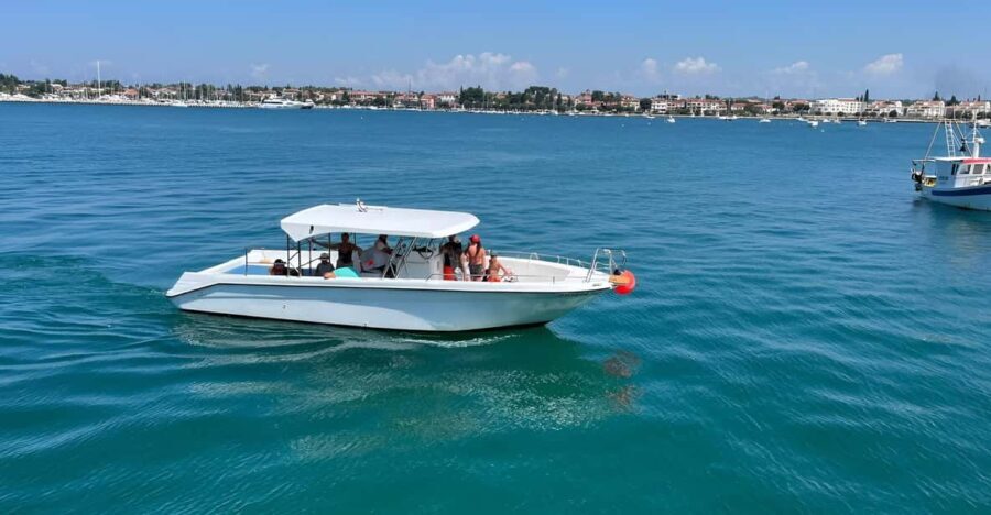 Umag: Snorkeling & dolphinwatching morning boat tour - Final Thoughts