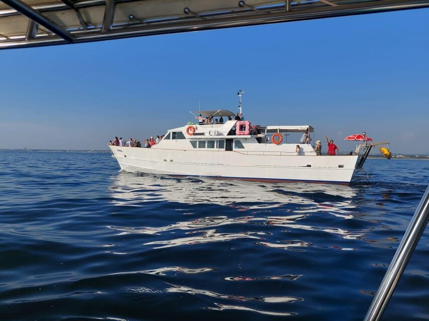 UMAG: Swimming&Panorama / Welcome Drink and Dolphin spotting - What’s Included and What’s Not
