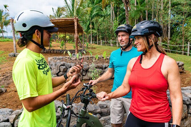 Umauma Falls eBike Tour in Hakalau - The Sum Up