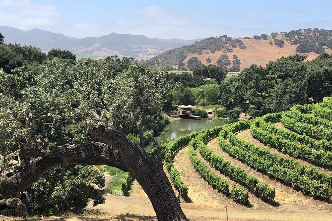 Unique Santa Barbara Wine Country Private Wine Tours and Tastings - Transportation and Comfort