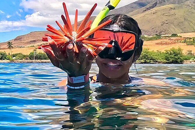 Unlimited Guided Snorkeling Tour for Beginners Plus - A Closer Look at the Itinerary
