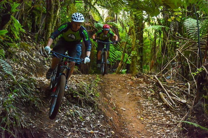 Urban Jungle Trail Cycling Tour from Colombo - The Kelaniya Temple: A Cultural Highlight