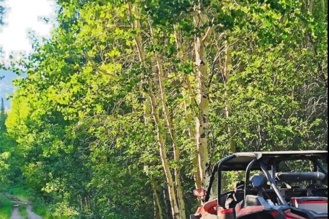 UTV Tour of Big Springs, Flats, and Sawtell Peak - Big Springs: A Crystal Clear Welcome