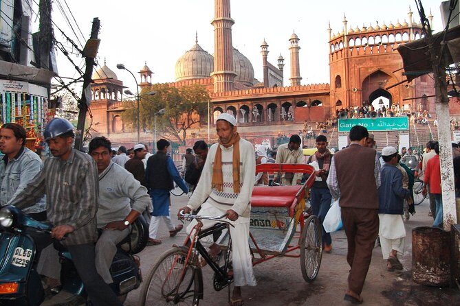 Vegan Food and walking tour in Delhi - Analyzing the Cost & Value