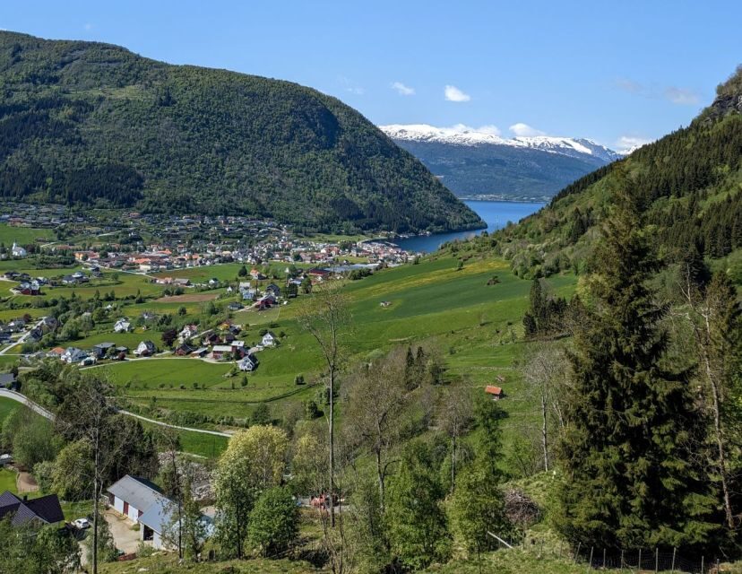 Vik i Sogn: Authentic Farm Visit - What to Expect: A Step-by-Step Overview