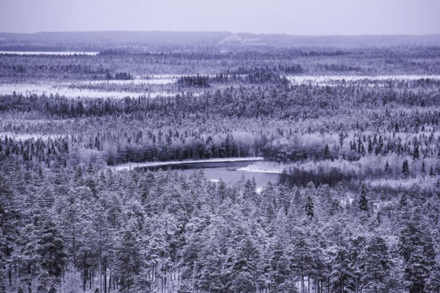 Vikakongas Hike: Nature and Silence - The Route: What You’ll Experience