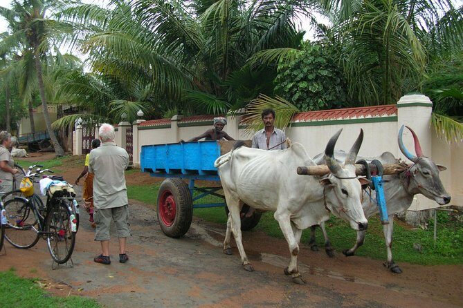 Village Biking Day Tour in Mahabalipuram - Why This Tour Matters: Connecting with Village Life