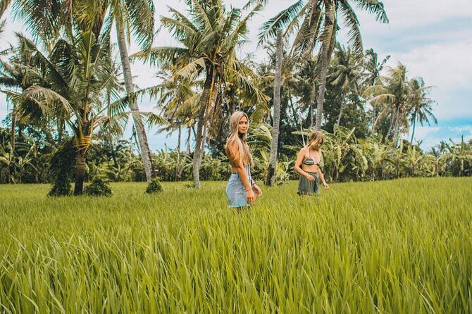 VILLAGE TOUR & RICE FIELDS TREKKING Jambangan Bali - Trekking Through Kelabang Moding Village