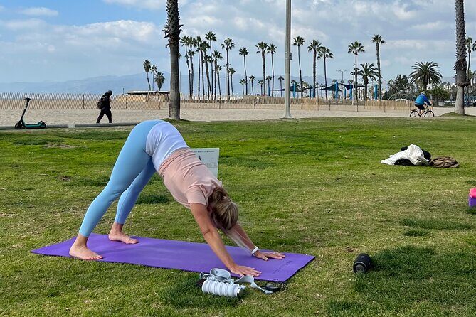 Vinyasa Yoga Class on the Beach in Santa Monica in French - The Value of a Coastal Yoga Session