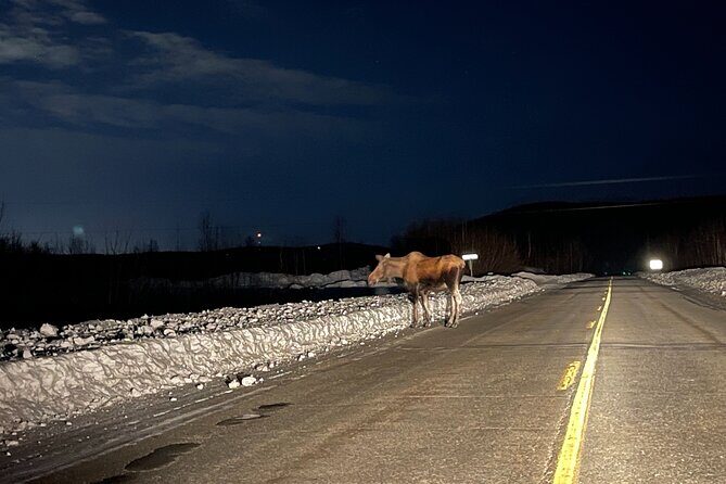 Vip Aurora Adventure from Fairbanks - How the Itinerary Works