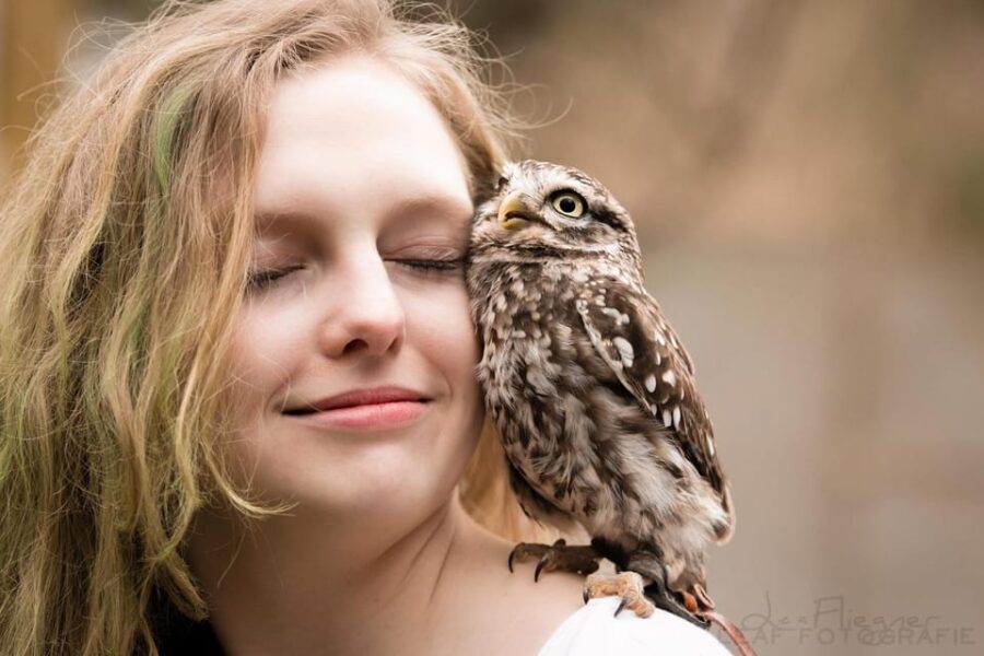 VIP falconry taster session - Who Should Consider This Tour?