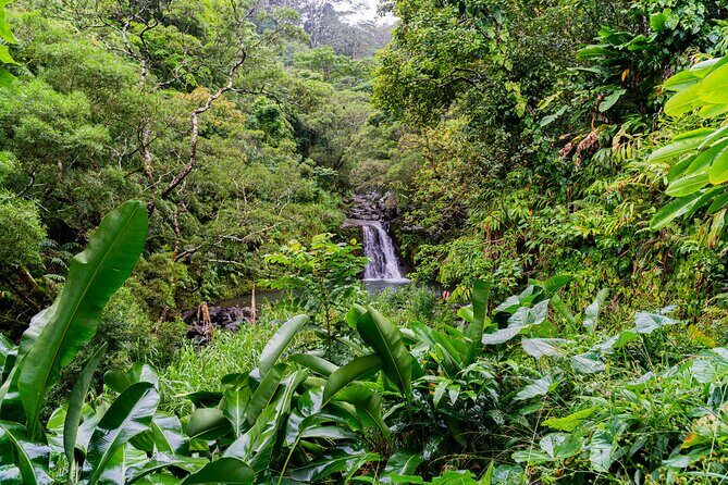 VIP Private Full-Day Road to Hana Tour from Lahaina-Kapalua - Who Should Book This Tour?