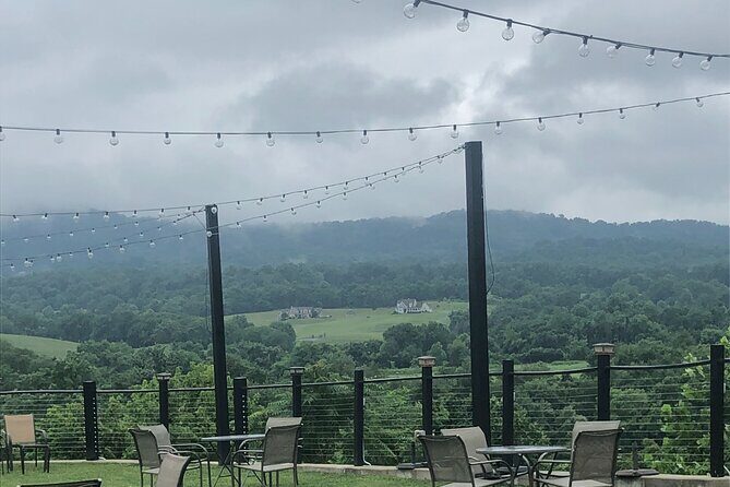 Virginia Winery Excursion by Luxury Vehicle Three wineries - What Makes This Tour Stand Out?
