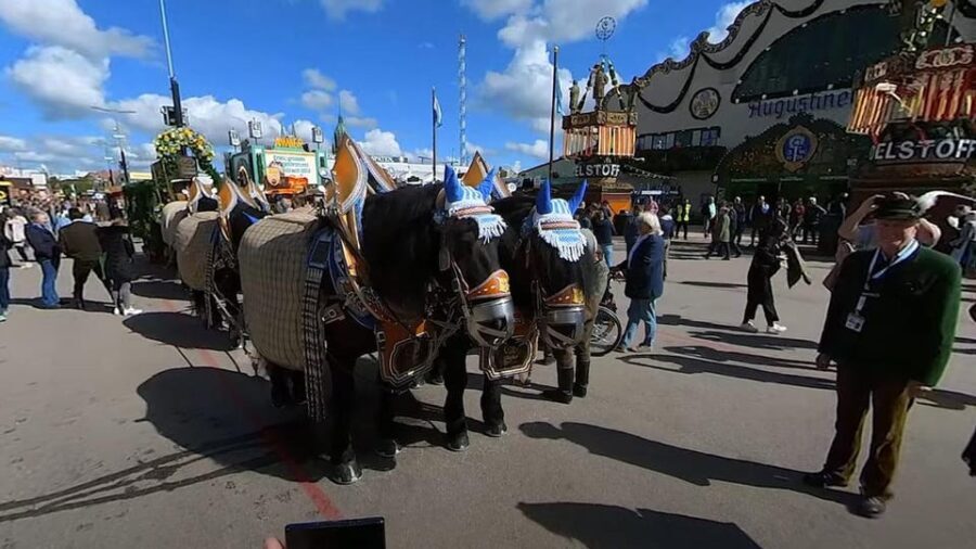 VirtualTour Video October Beer Festival Munich with Wolfgang - What makes this virtual tour worthwhile?
